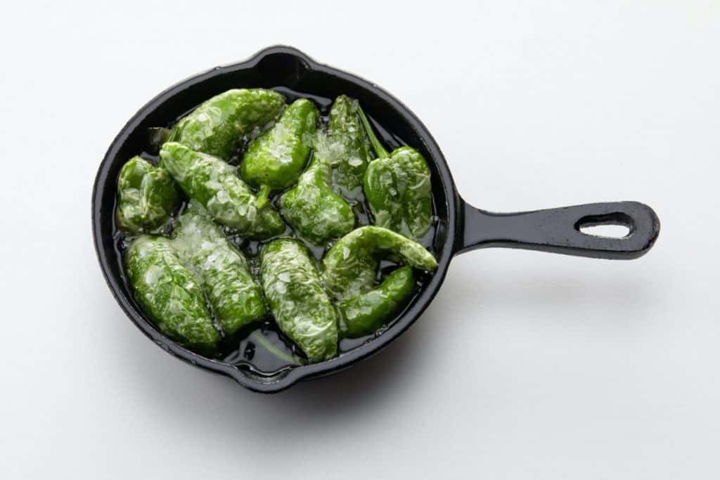 Pimientos de Padrón | Chili-Werkstatt